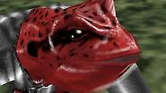 A Letter to Froglok Monks | EverQuest