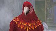New Pets of an Avian Variety | EverQuest
