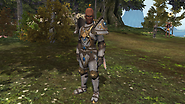 Introducing the Crusader Mercenary Crate | EverQuest II
