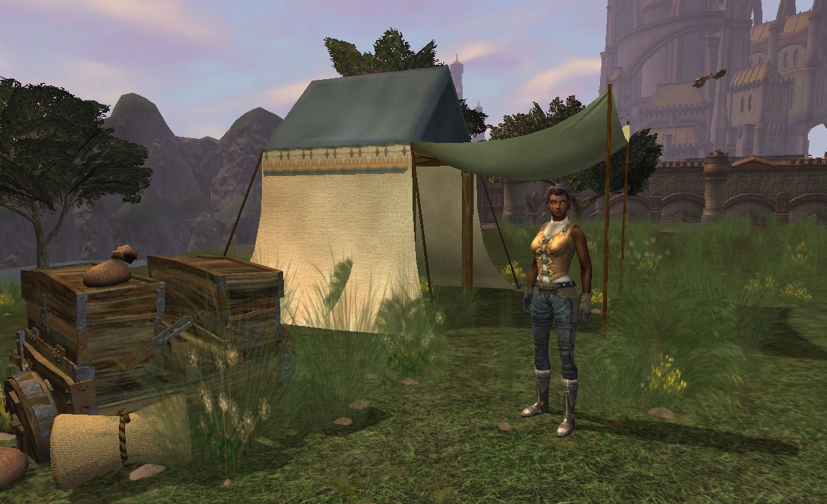Celebrate 16 Years of EverQuest II: The Heroes' Festival is back ...