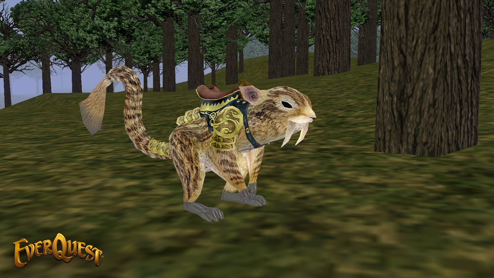 New Koada’Dal Heritage Crate | EverQuest