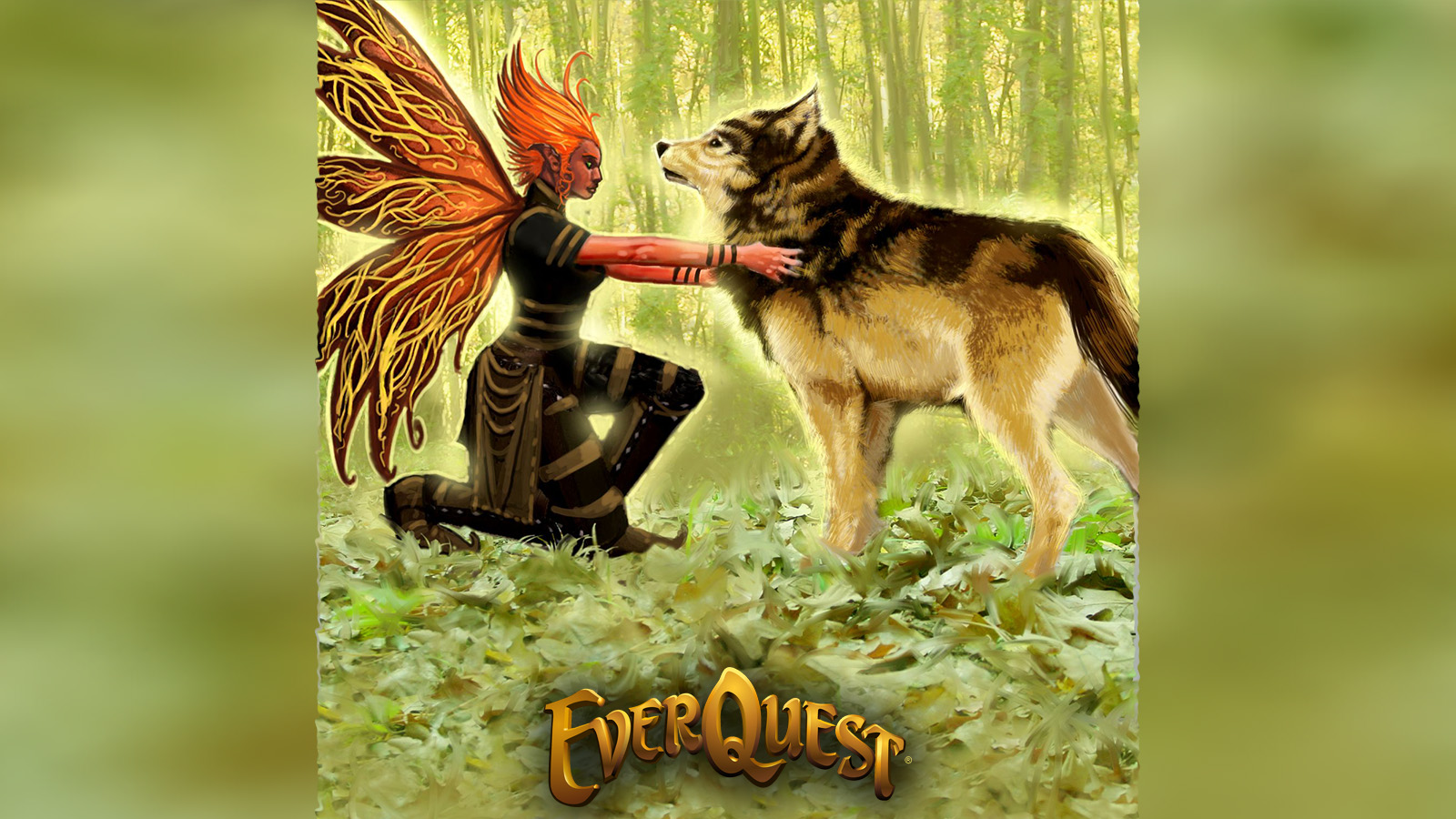 Cat in a Bag, Dog in a Crate, Bird in a Cage | EverQuest